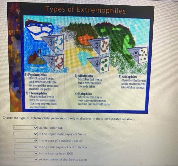 Solved Types of Extremophiles 5 3) Alkaliphiles Microbes | Chegg.com