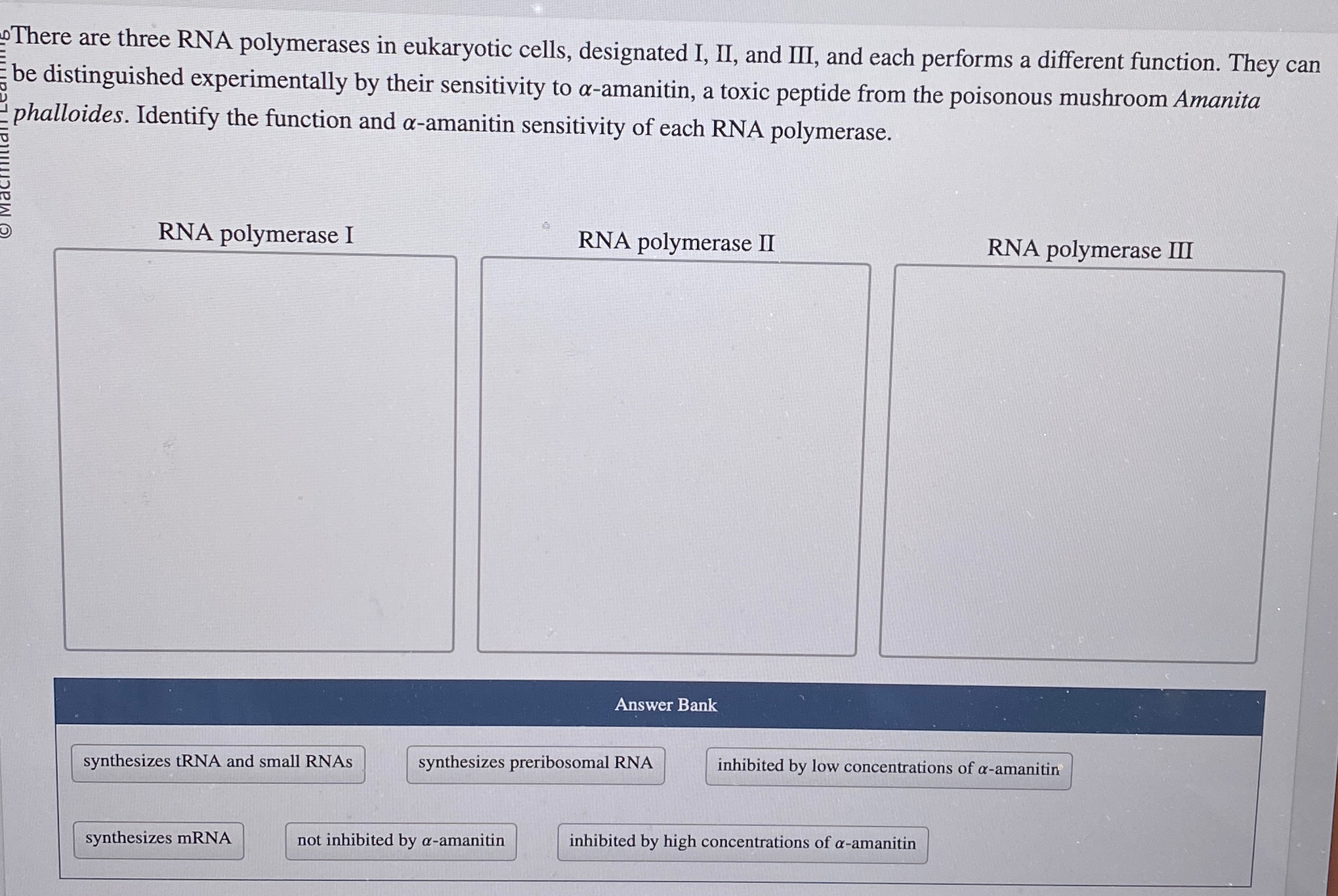 Solved TThere are three RNA polymerases in eukaryotic cells, | Chegg.com