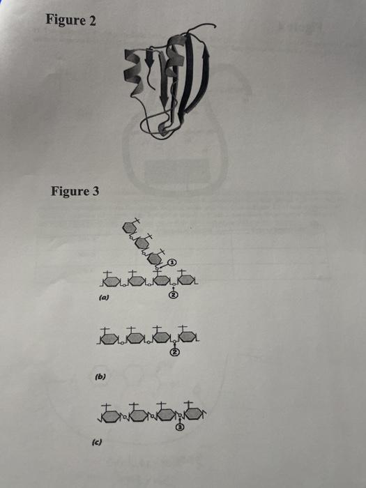 Solved 18. See Figure 2. Label directly on the figure one | Chegg.com