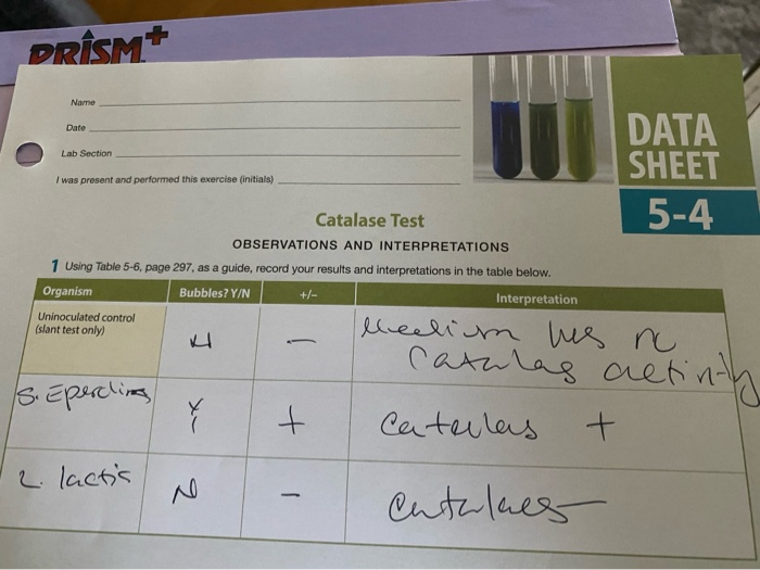 Solved DRISM+ Name Date Lab Section DATA SHEET 5-4 I was | Chegg.com