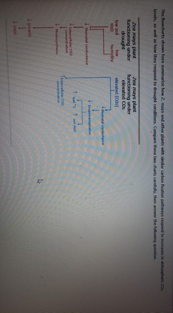 Solved JUI LIVIU UNCLE LUI DUI LUI! Climate change, which is | Chegg.com