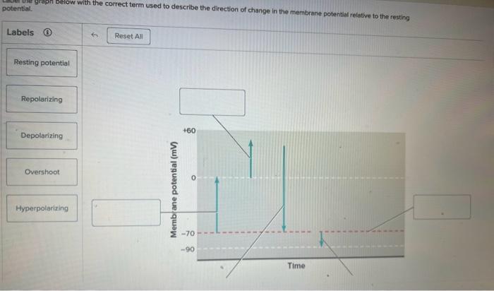 Solved potential. | Chegg.com