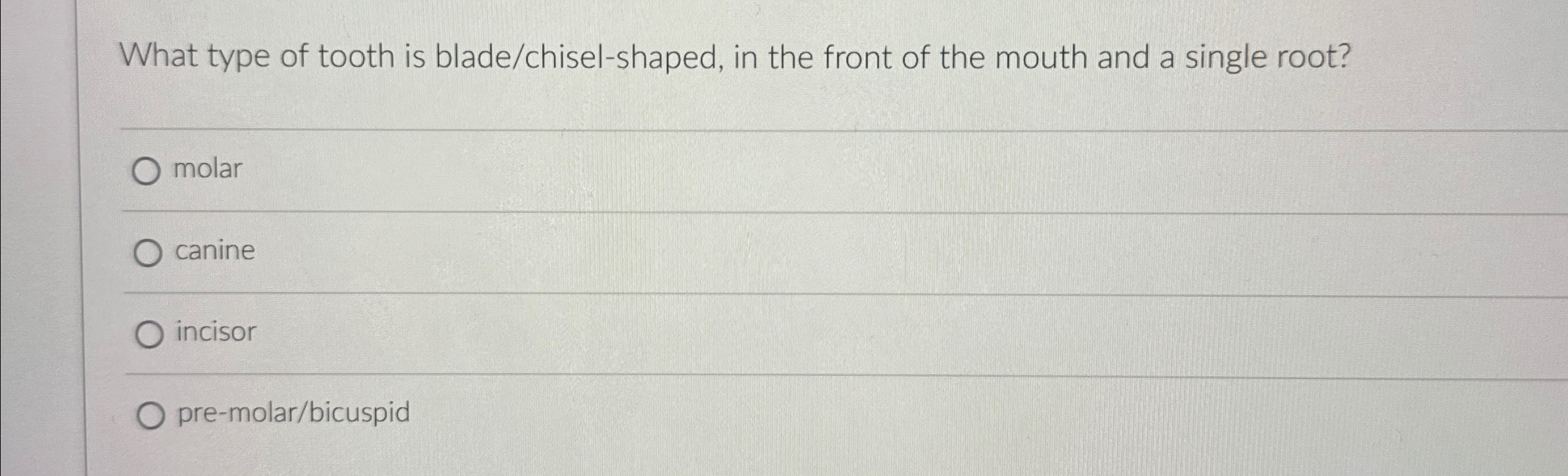 Solved What type of tooth is blade/chisel-shaped, in the | Chegg.com