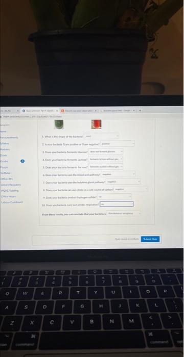 Solved ces 3 29 Citrate Test Glucose 1. What is the shape of | Chegg.com