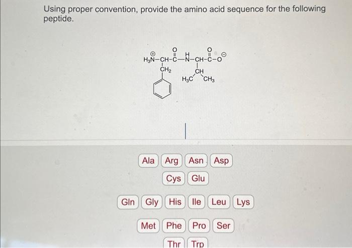 Solved Using proper convention, provide the amino acid | Chegg.com