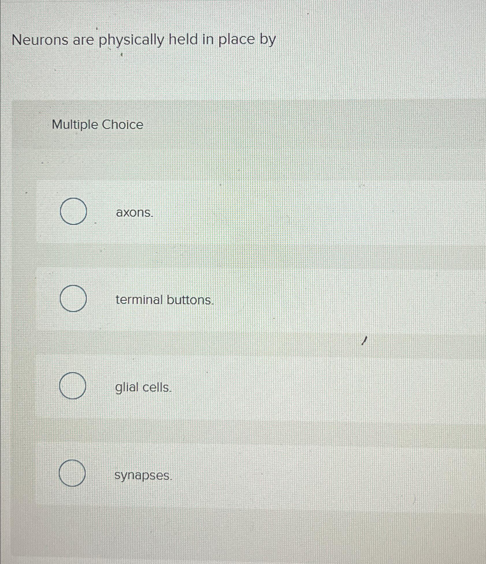 Solved Neurons are physically held in place byMultiple | Chegg.com