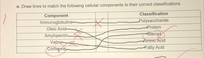 Solved e. Draw lines to match the following cellular | Chegg.com