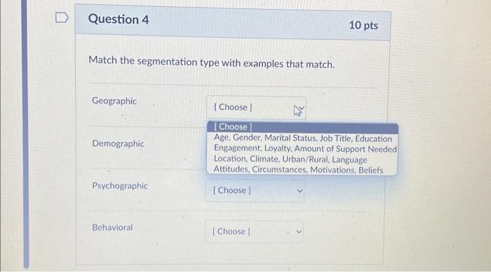 Match the segmentation type with examples that match. | Chegg.com