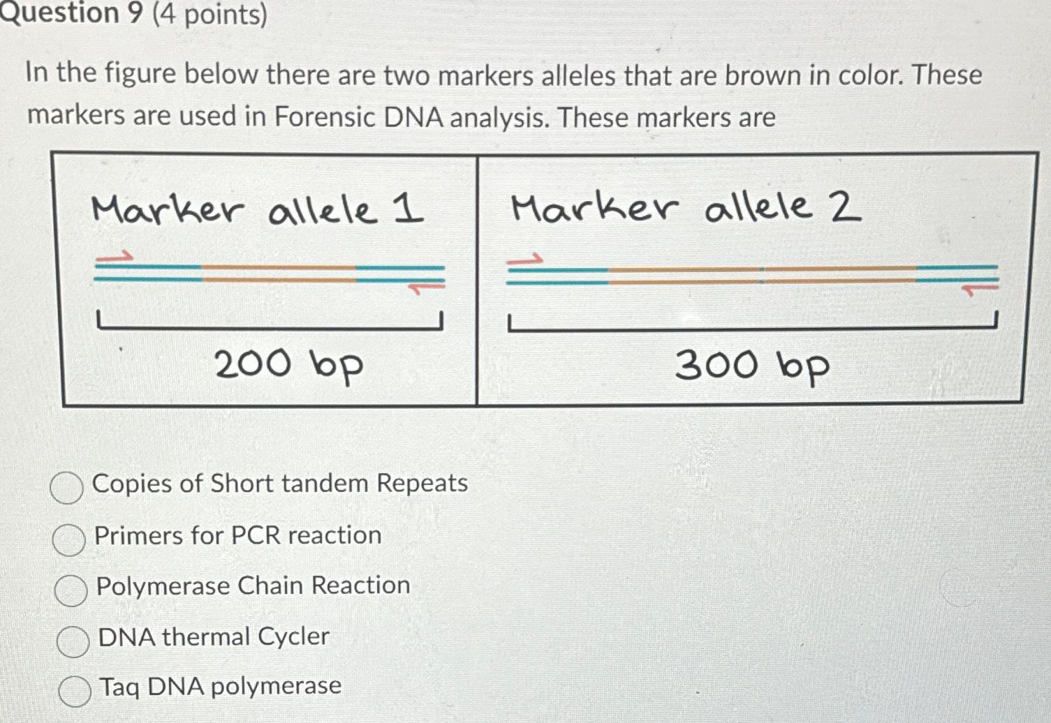 Solved Question 9 (4 ﻿points)In the figure below there are | Chegg.com