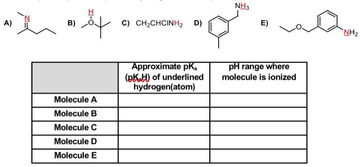 Solved For each of the molecules below, provide an | Chegg.com