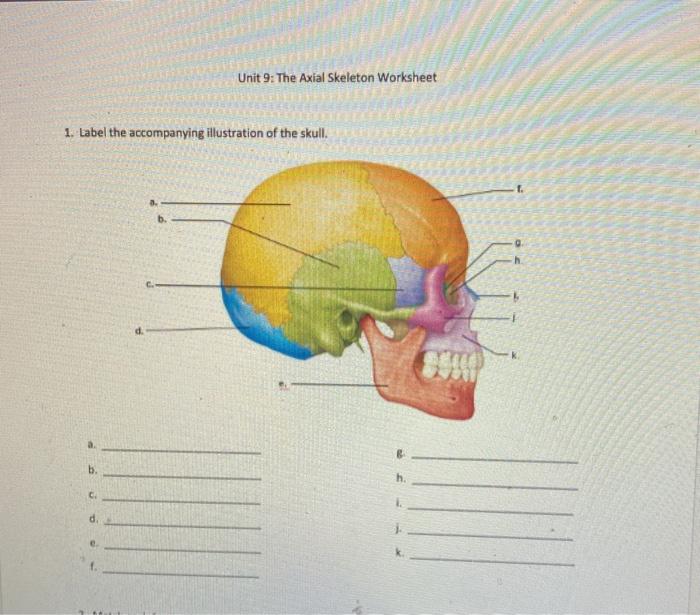 Solved Unit 9: The Axial Skeleton Worksheet 1. Label the | Chegg.com