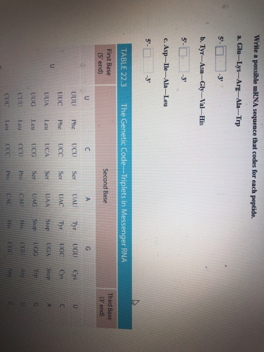 Solved Write a possible mRNA sequence that codes for each | Chegg.com