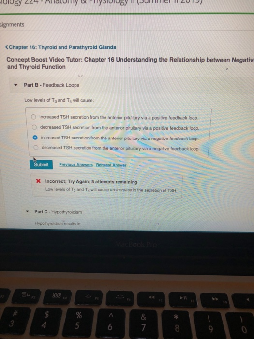 Solved IOlgy 22 signments Chapter 16: Thyrold and | Chegg.com Solved IOlgy 22 signments Chapter 16: Thyrold and | Chegg.com