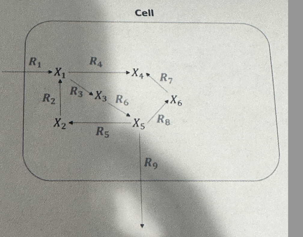 Solved Write the stoichiometric matrix S from the metabolic | Chegg.com