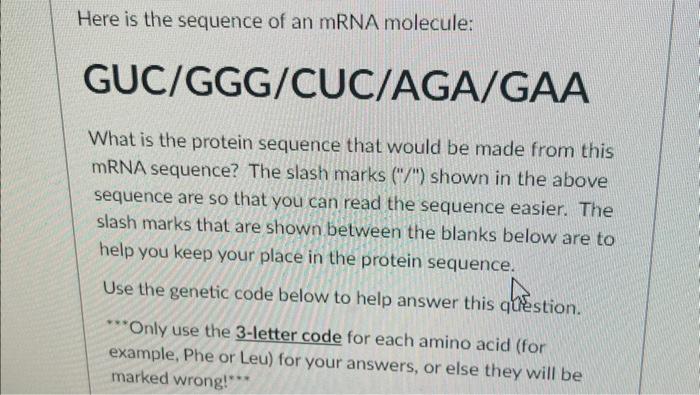 Solved Here is the sequence of an mRNA molecule: | Chegg.com