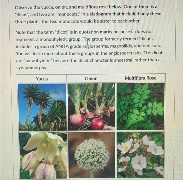 Solved Background Information Any feature that evolved | Chegg.com