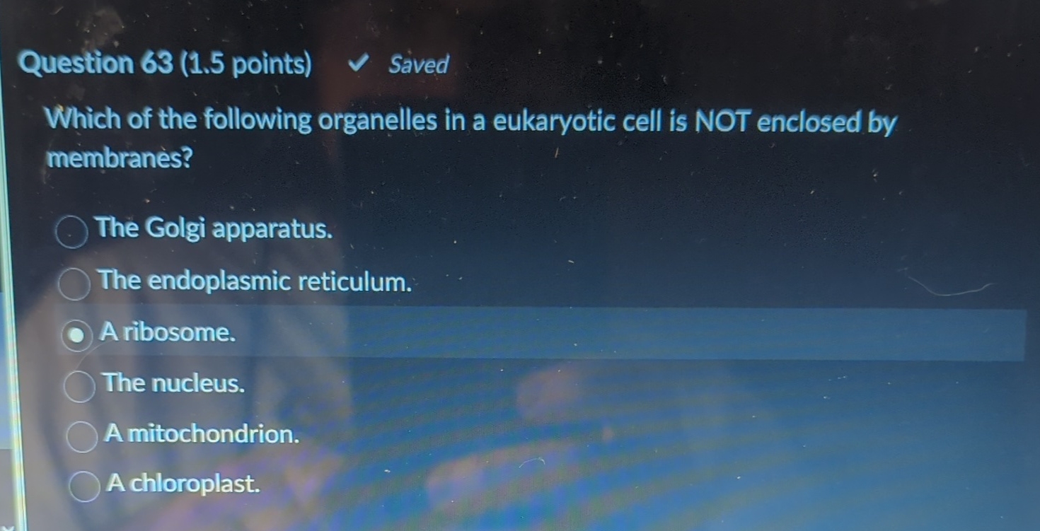 High Quality SOLUTION Question 63 (1.5 ﻿points) ﻿SavedWhich of the | Chegg.com