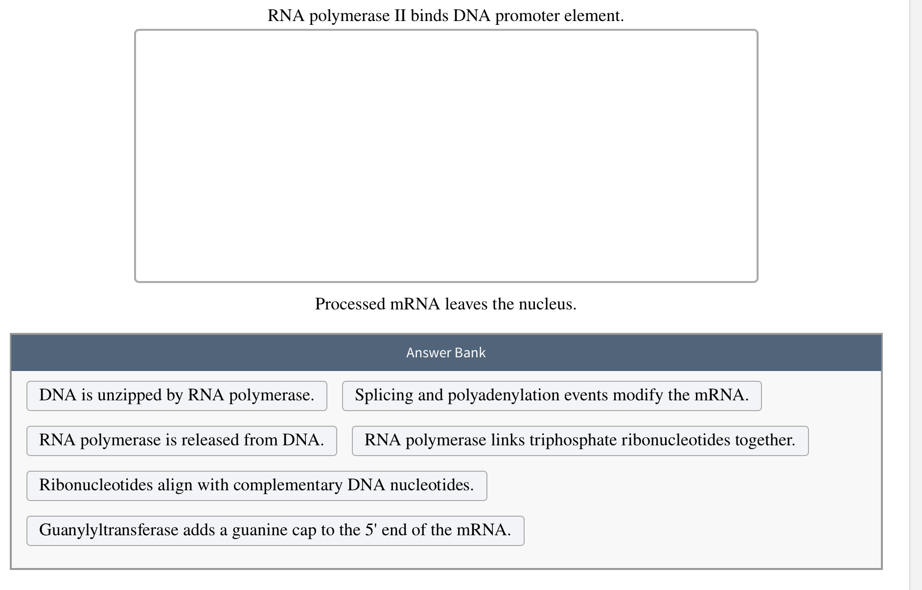 Solved RNA polymerase II binds DNA promoter | Chegg.com