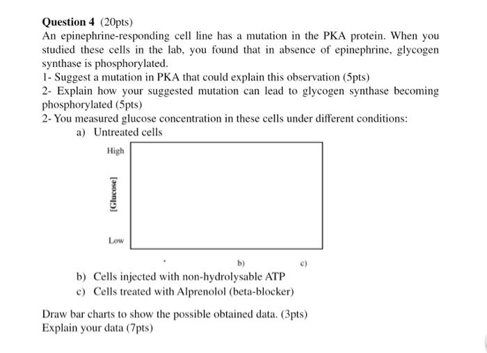 Solved Question 4 (20pts) An epinephrine-responding cell | Chegg.com