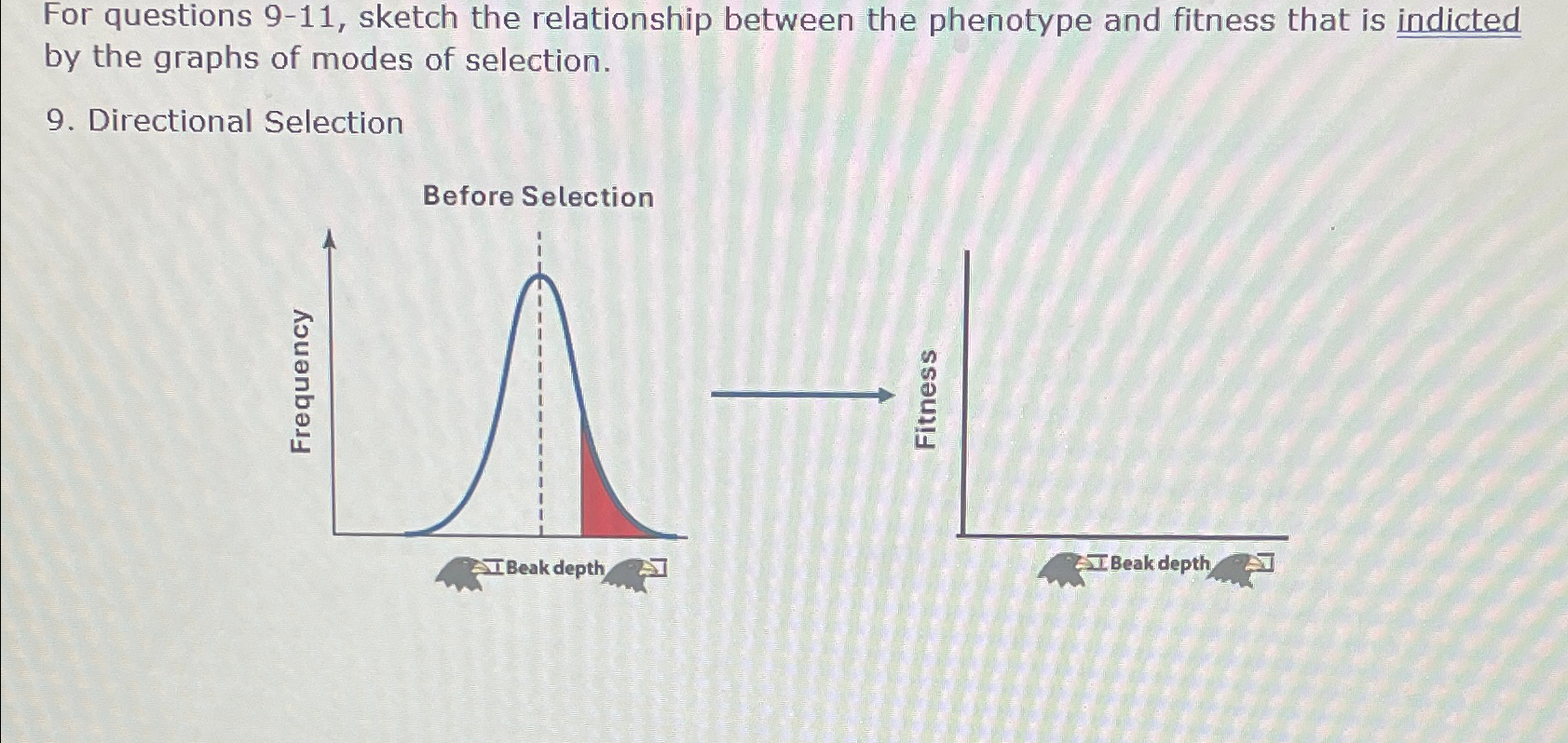 Solved For questions 9-11, ﻿sketch the relationship between | Chegg.com