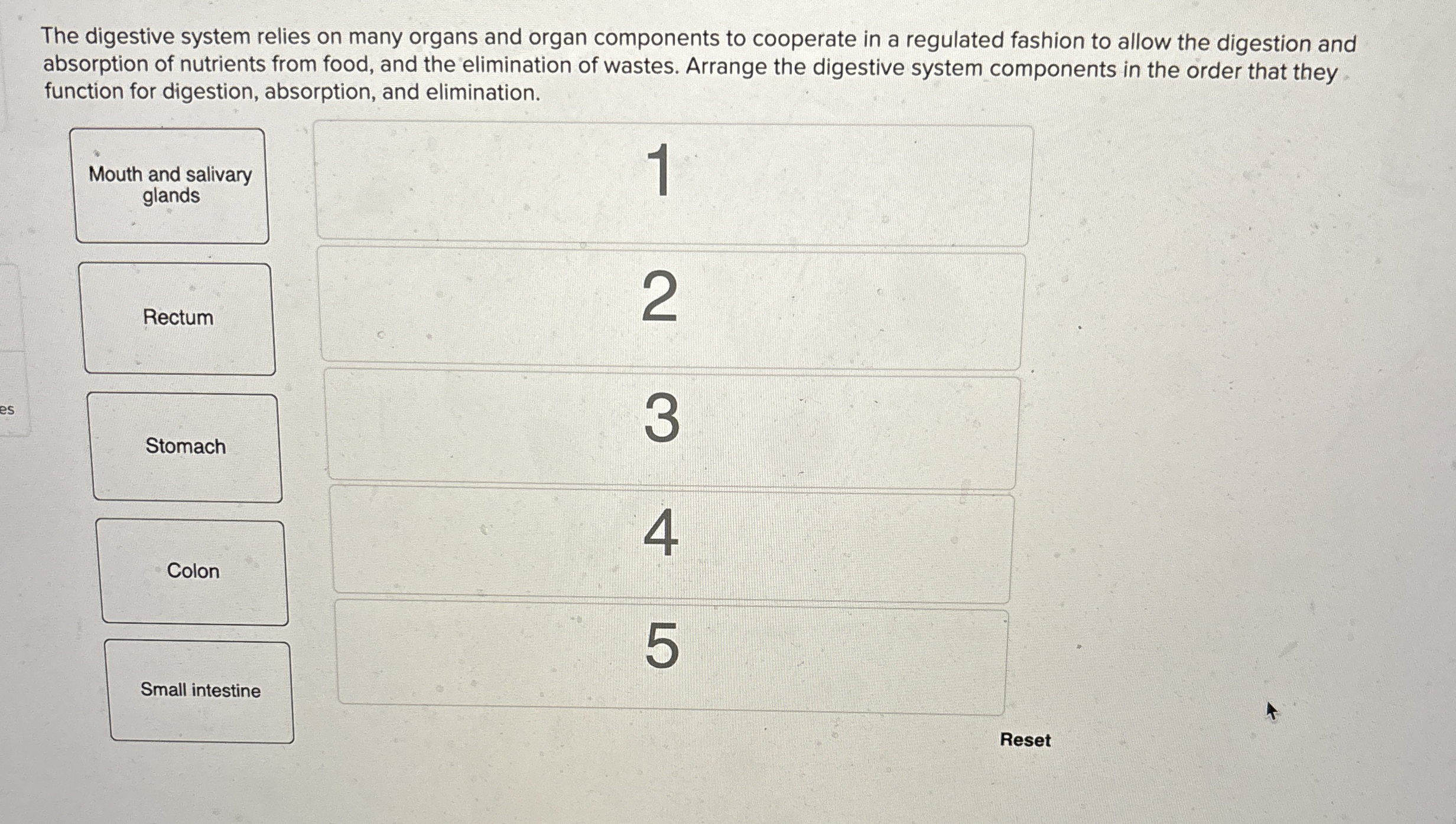 Solved The digestive system relies on many organs and organ | Chegg.com