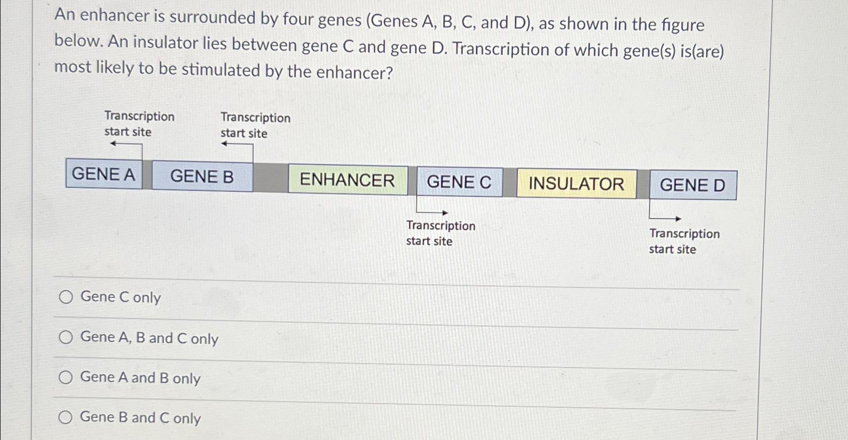 Solved An enhancer is surrounded by four genes (Genes A, ﻿B, | Chegg.com