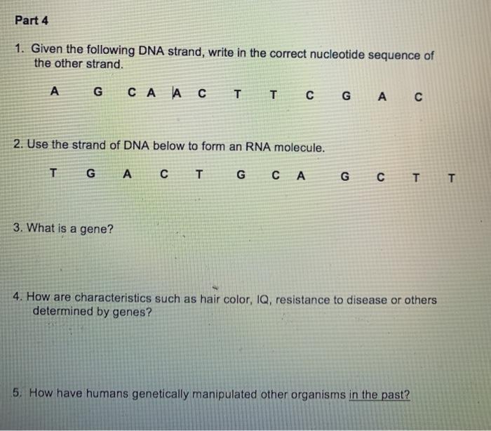 Solved Part 4 1. Given the following DNA strand, write in | Chegg.com