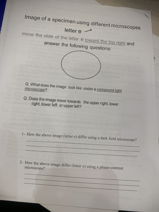 Solved Image of a specimen using different microscopes | Chegg.com