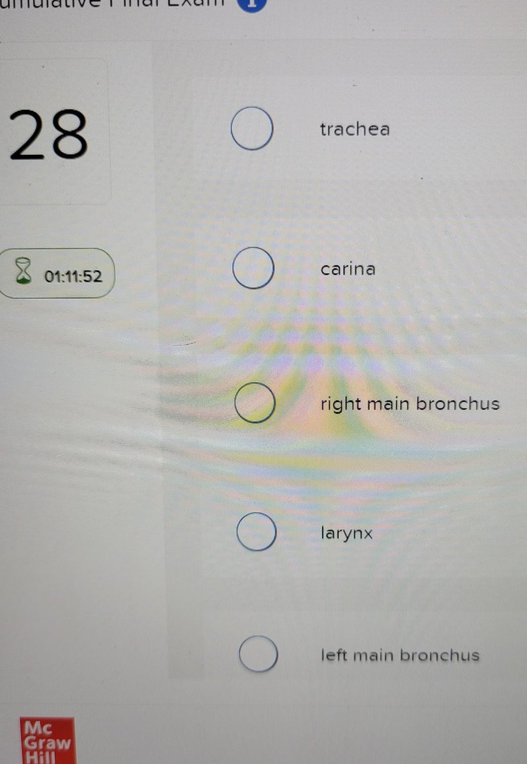 Solved Exam Which strusture is hiahliahted?Cumulative Final | Chegg.com