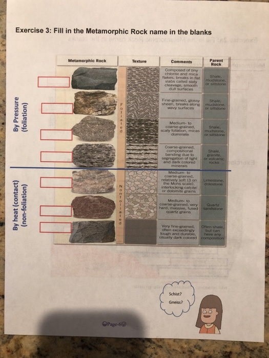 Solved Exercise 3: Fill in the Metamorphic Rock name in the | Chegg.com