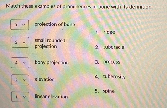 Solved Match these examples of prominences of bone with its | Chegg.com