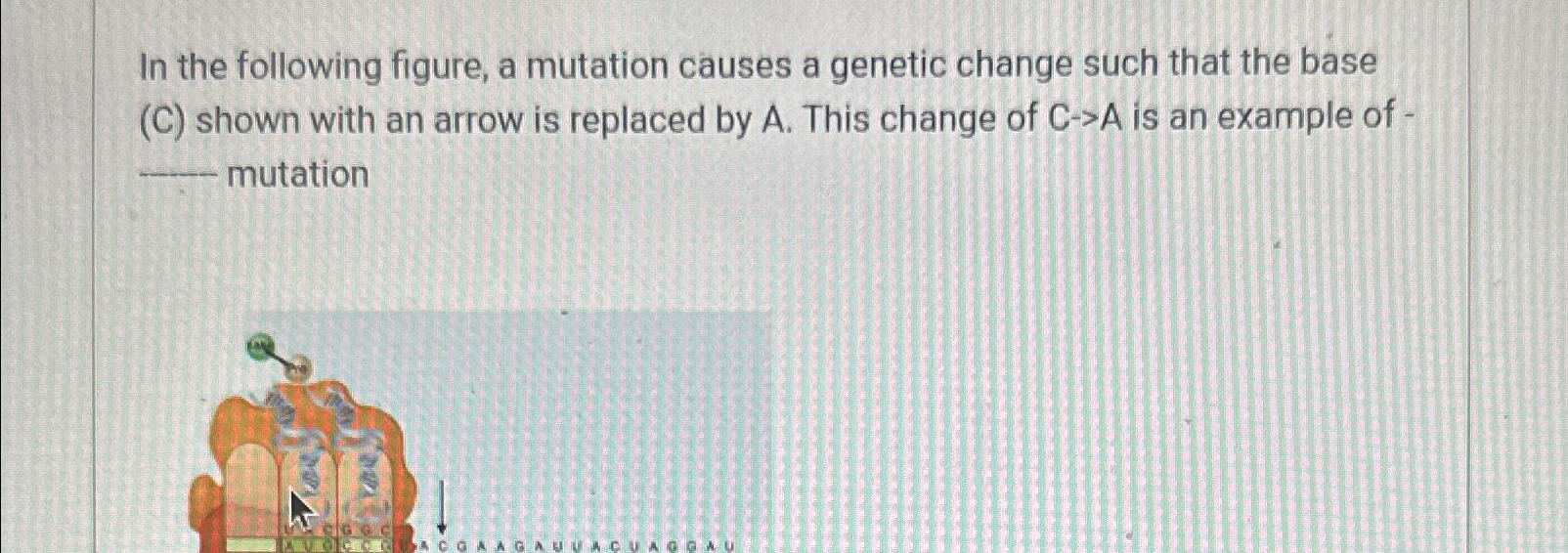In the following figure, a mutation causes a genetic | Chegg.com