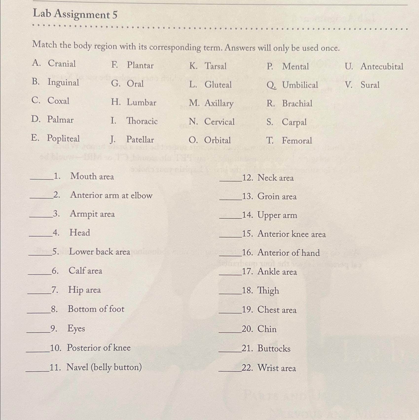 Solved Lab Assignment 5Match the body region with its | Chegg.com