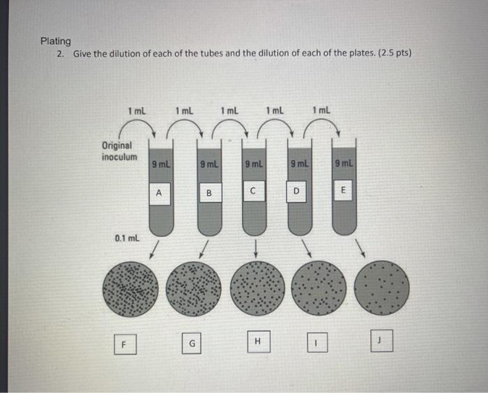 Solved Plating 2. Give the dilution of each of the tubes and | Chegg.com