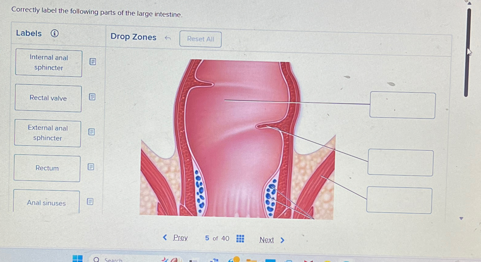 Solved Group the following structures based on whether they | Chegg.com