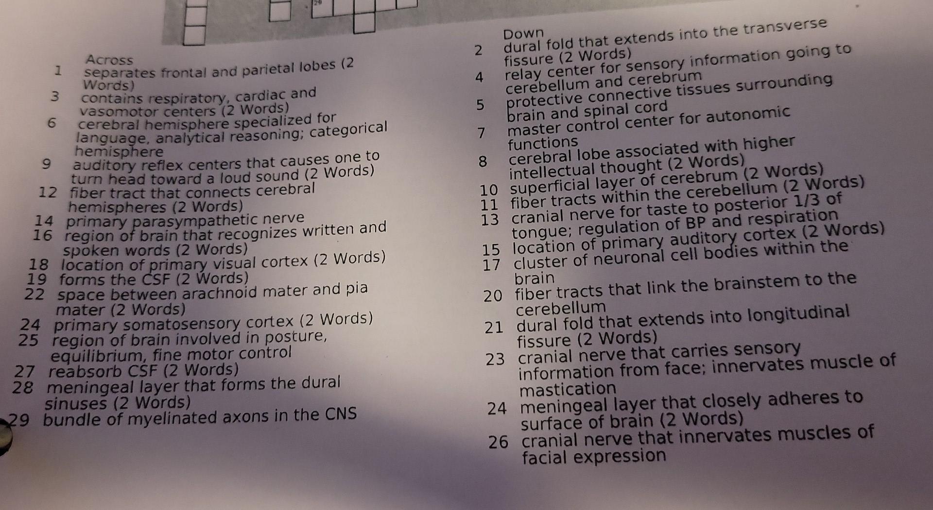 Solved Brain and Cranial Nerves | Chegg.com