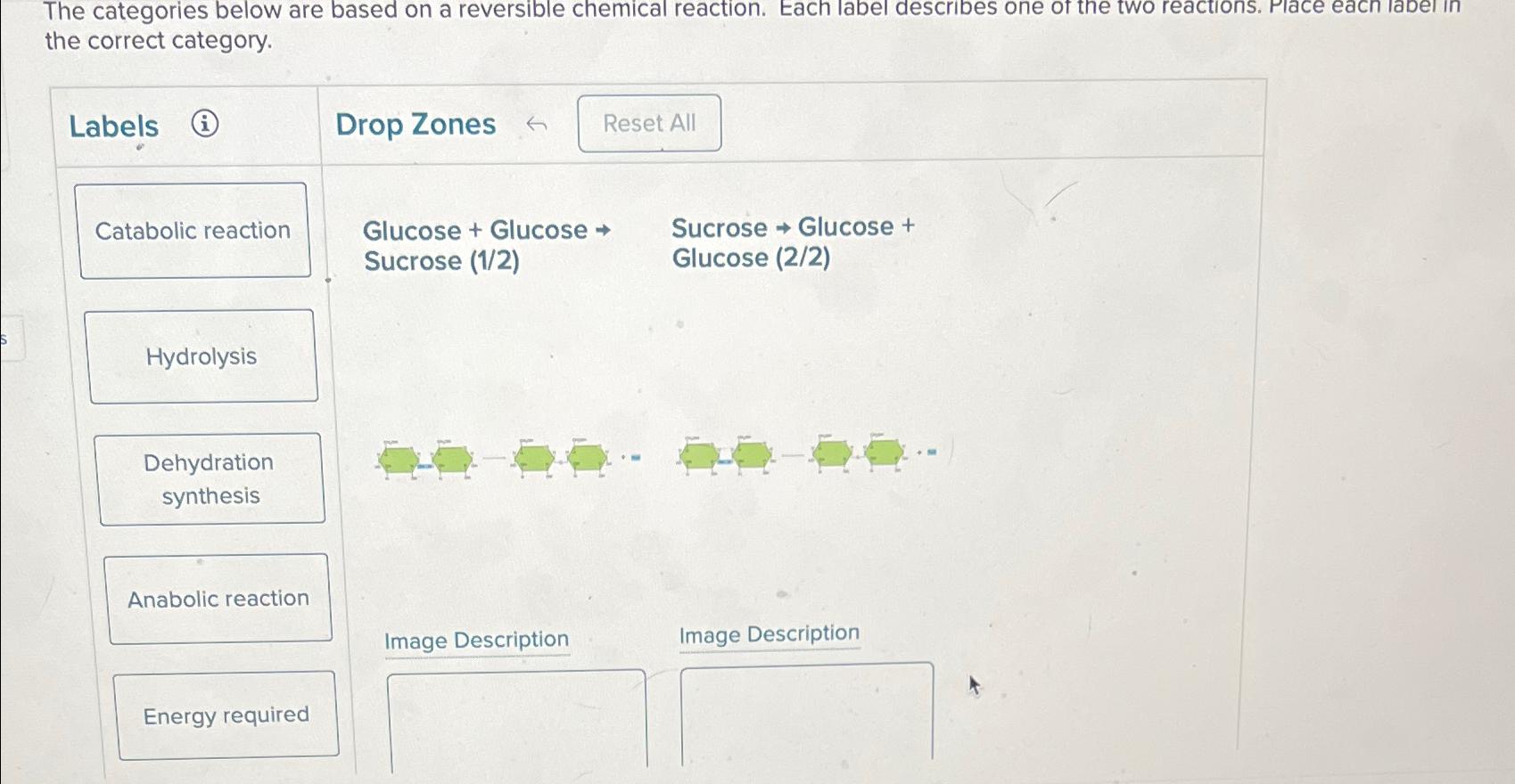 Solved The categories below are based on a reversible | Chegg.com