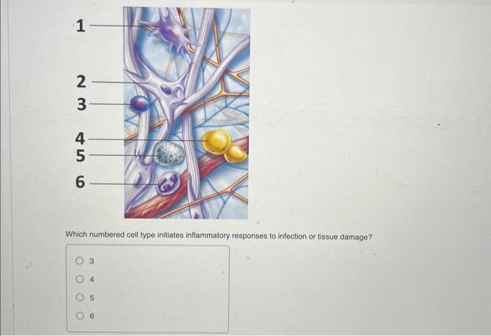 Solved You observe a unilorm fissue under a microscope. | Chegg.com