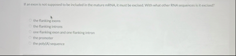 Solved If an exon is not supposed to be included in the | Chegg.com