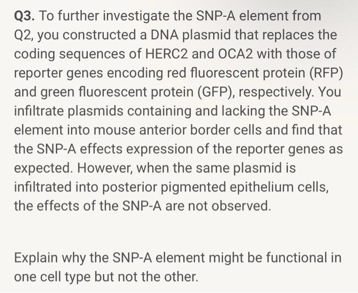 Solved Q3. To further investigate the SNP-A element from Q2, | Chegg.com