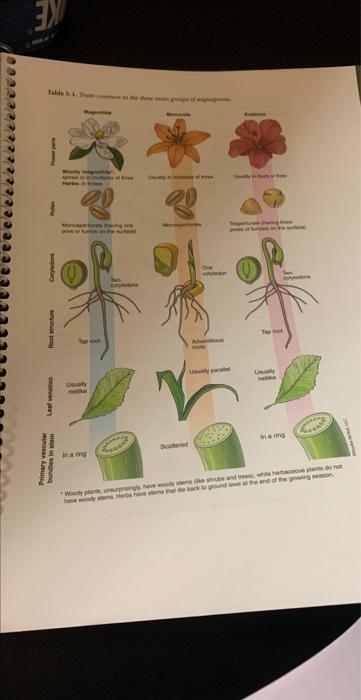 PART D: MYSTERY PLANT There is a station in your lab | Chegg.com