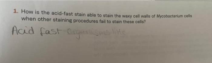 Solved 1. How is the acid-fast stain able to stain the waxy | Chegg.com