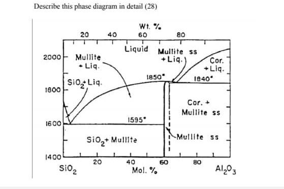 Solved Describe this phase diagram in detail (28) Wt. % 20 | Chegg.com