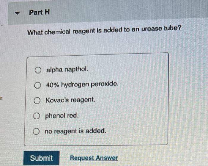Solved Interpret the following set of IMVic reactions. | Chegg.com