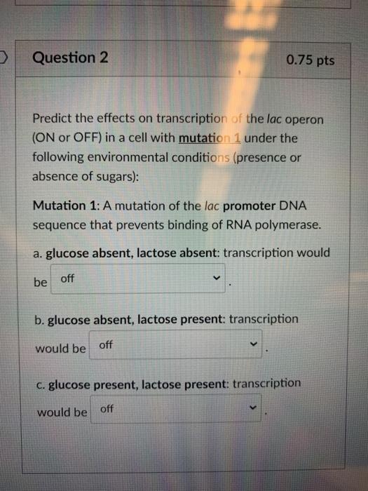 Solved lectures on the lac oper Question 1 0.75 pts First | Chegg.com