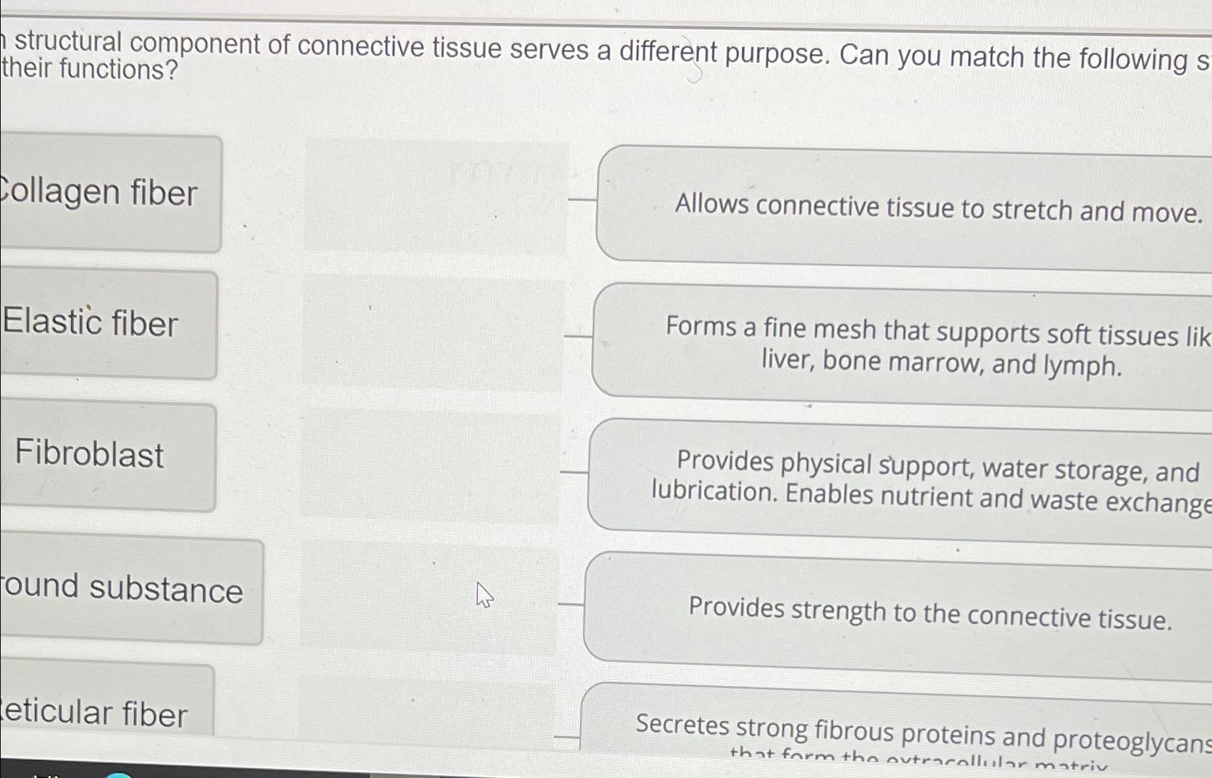 Solved structural component of connective tissue serves a | Chegg.com
