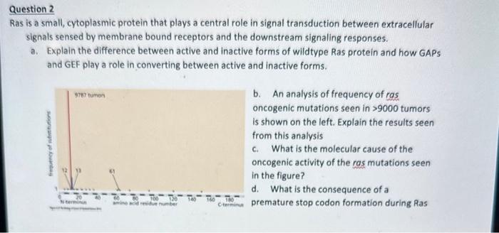 Solved Question 2 Ras is a small, cytoplasmic protein that | Chegg.com