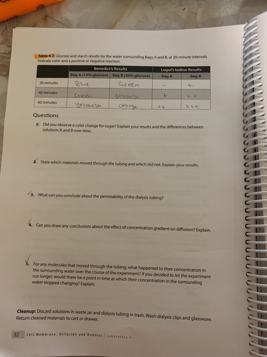 Profile LABORATORY 4 CELL MEMBRANE, DIFFUSION AND | Chegg.com