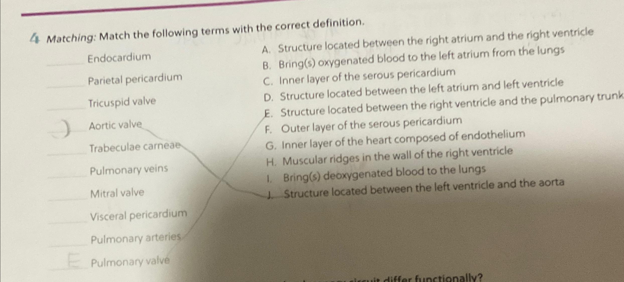 Solved 4 ﻿Matching: Match the following terms with the | Chegg.com