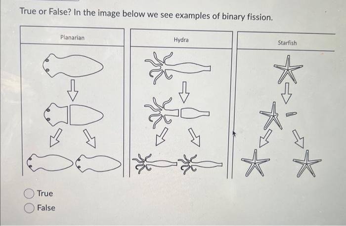 Solved True or False? In the image below we see examples of | Chegg.com